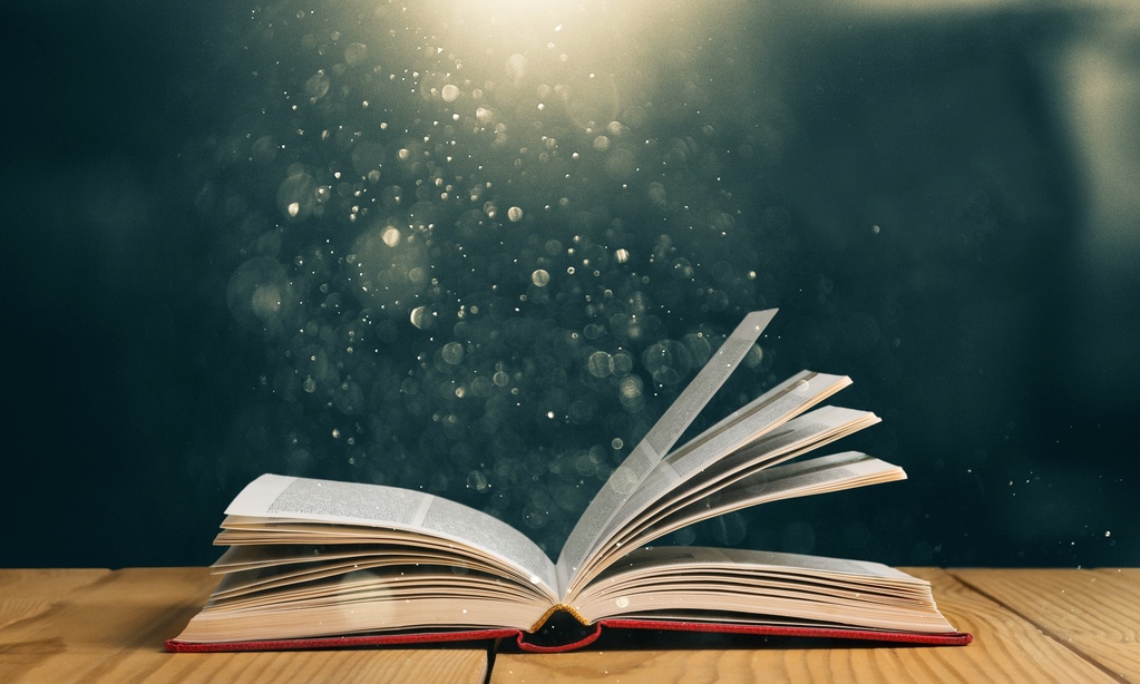 Palgraphic | Consejos Diseño Portada Libro